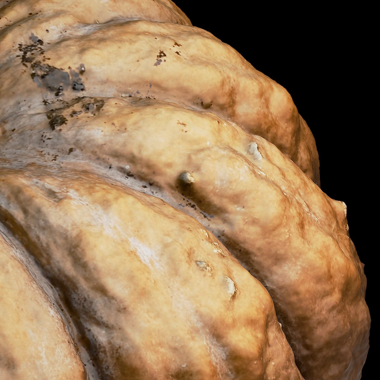 Fruit and Veg. Asset Pack by KIRI Engine - KIRI Engine