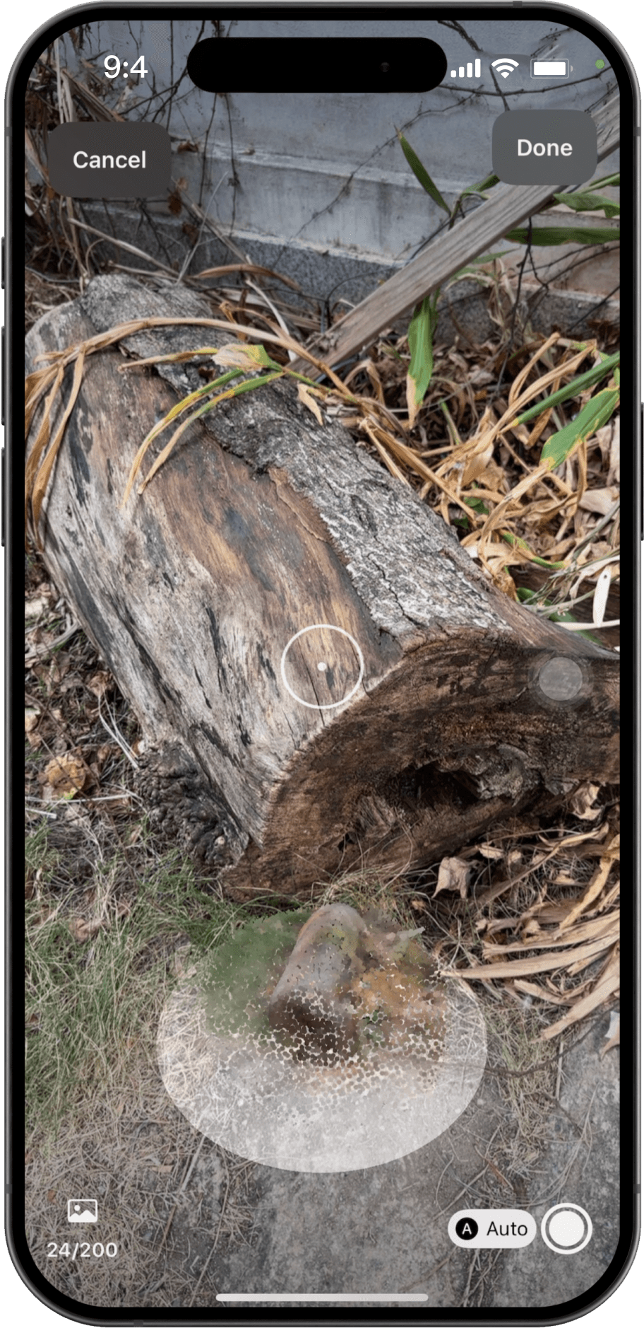 Free LiDAR 3D Scanner and Editor - KIRI Engine