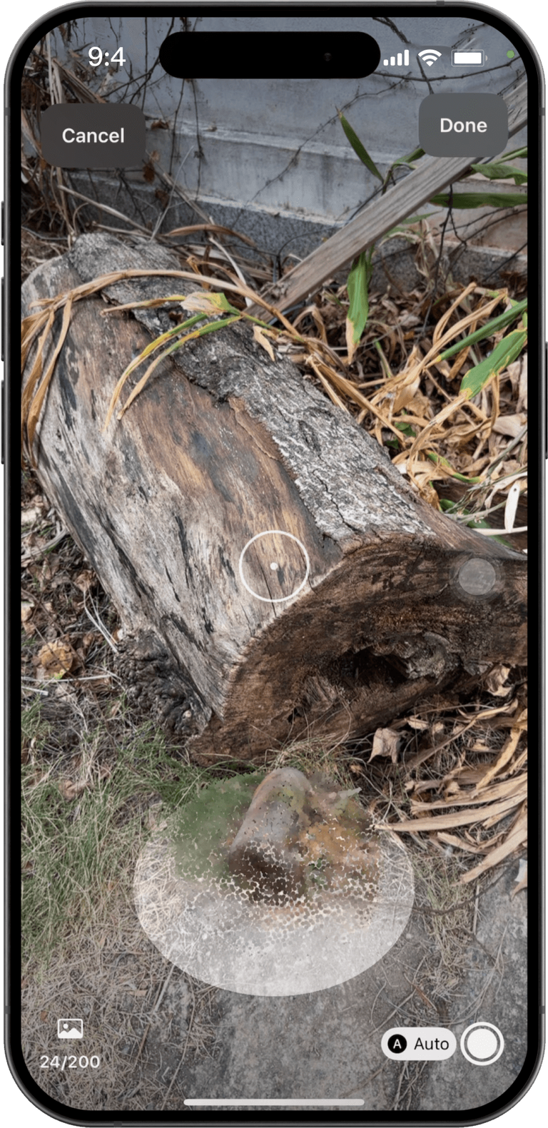 Free LiDAR 3D Scanner and Editor - KIRI Engine